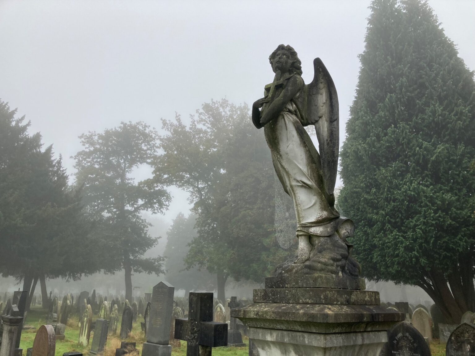 Gothic Angels of Death@ Highgate Cemetery - Manchester Centre for ...